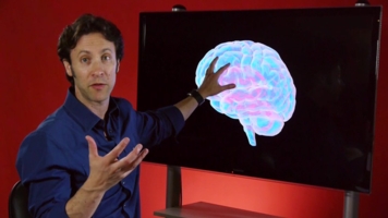 Meet Your Brain | BioEd Online