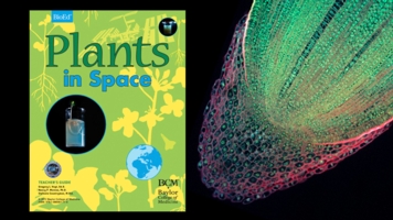 Plants in Space | BioEd Online